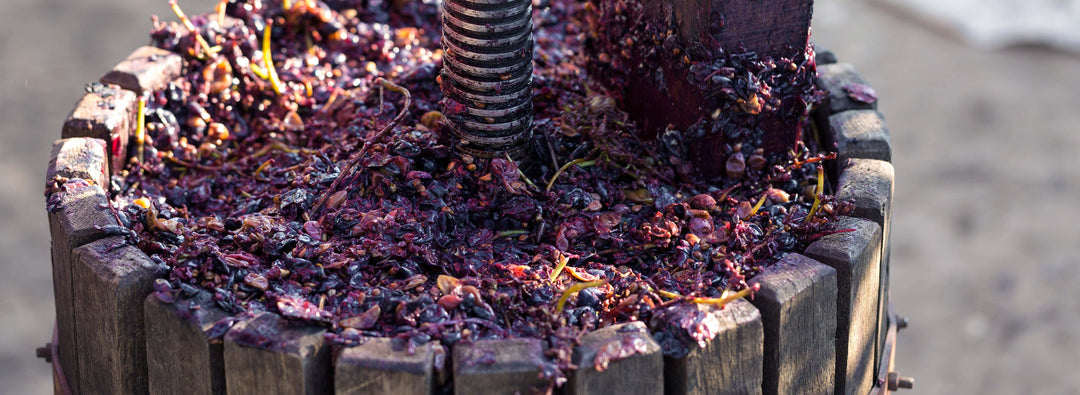 What gives wine its color? – Coravin APAC
